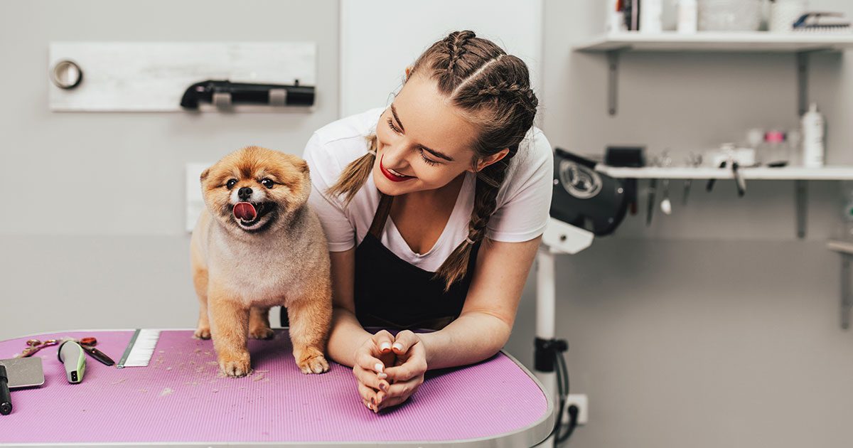 Cat & Dog Grooming & Boarding in Plano, TX | Humane Animal Medical ...