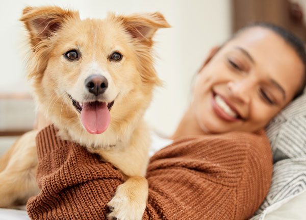 Veterinary Care in Plano, TX | Humane Animal Medical & Surgical Hospital